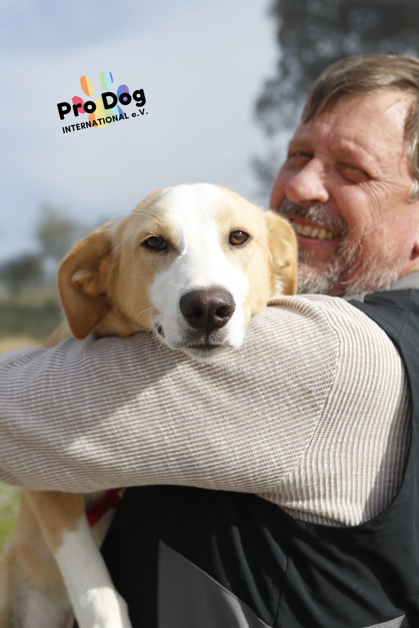 Bailey in Portugal – Pro Dog International e. V. Bailey in Portugal – Pro Dog International e. V.